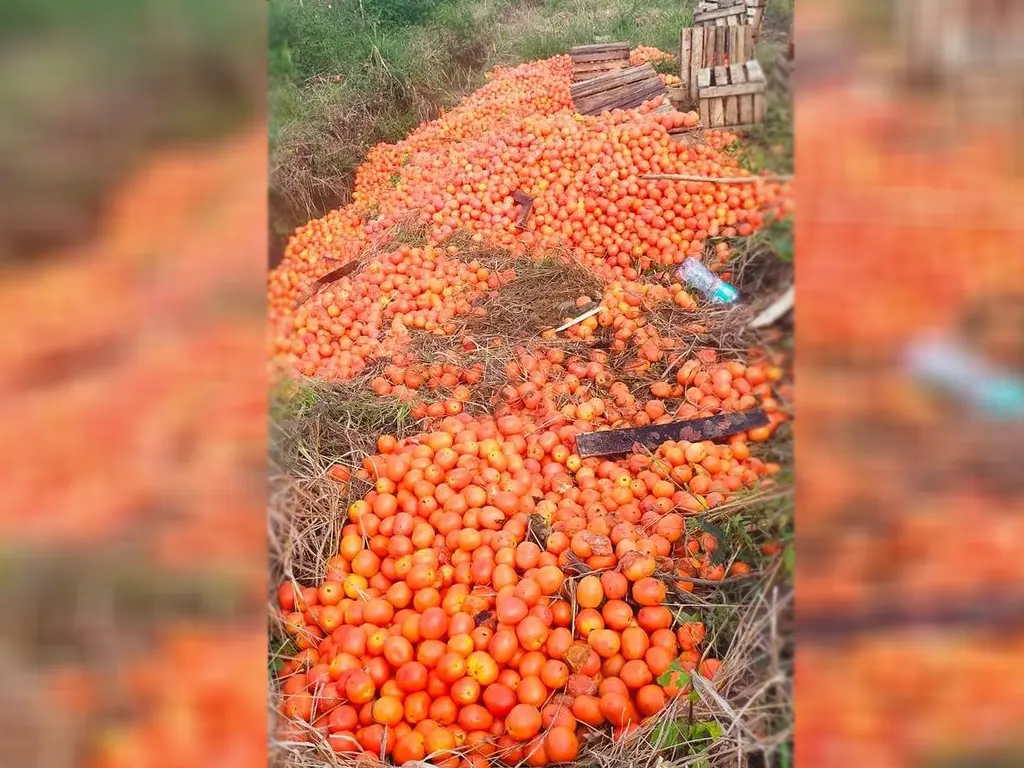 DA-10 collabs with cooperative on marketing strategy after viral ...