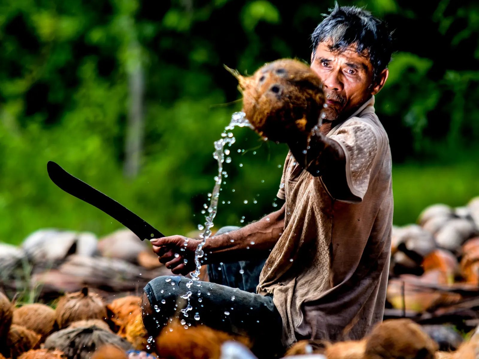Coconut industry modernization ordered to uplift lives of coconut ...