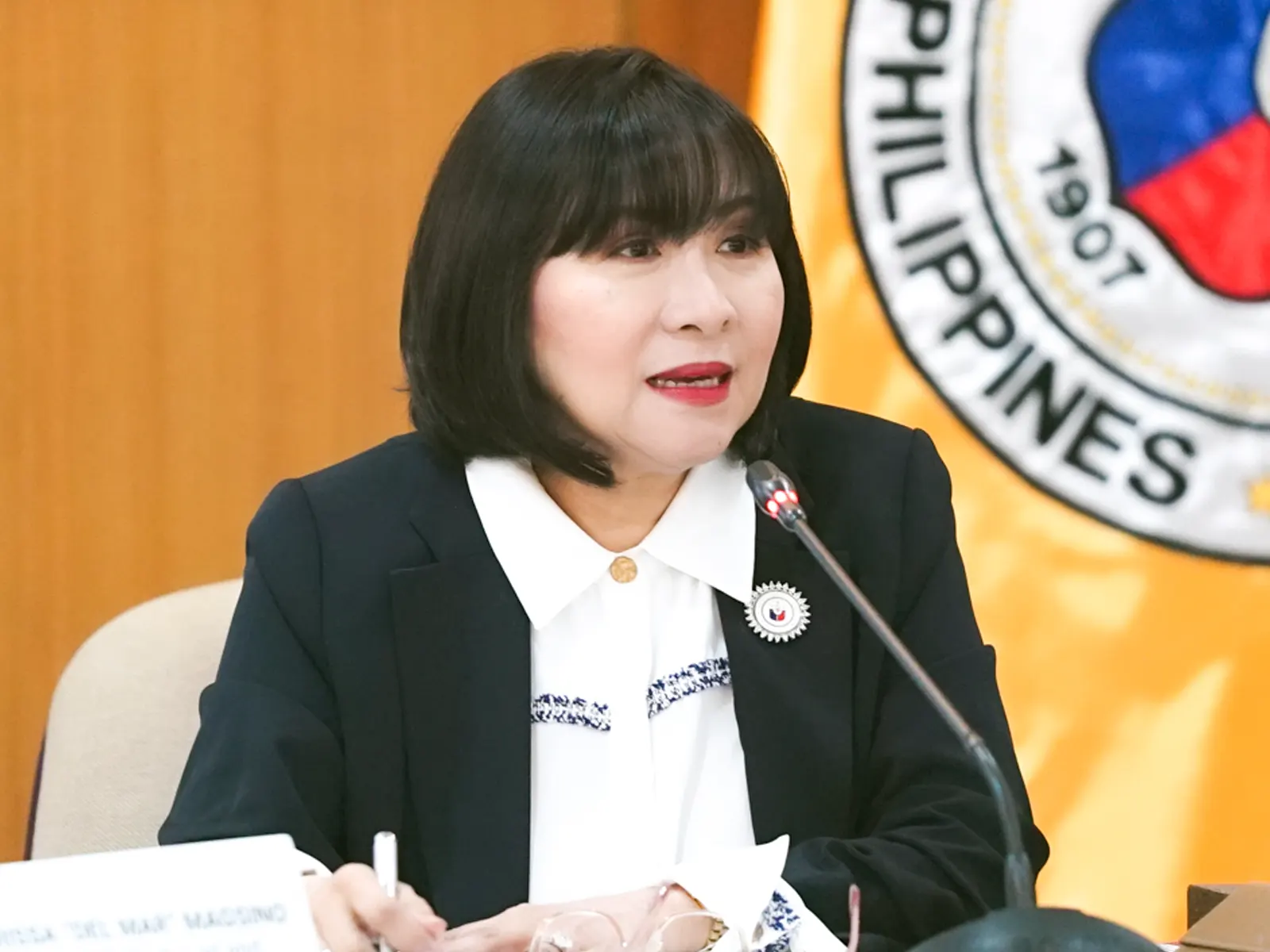 OFW partylist reviews programs, services of SSS, PhilHealth, Pag-ibig ...