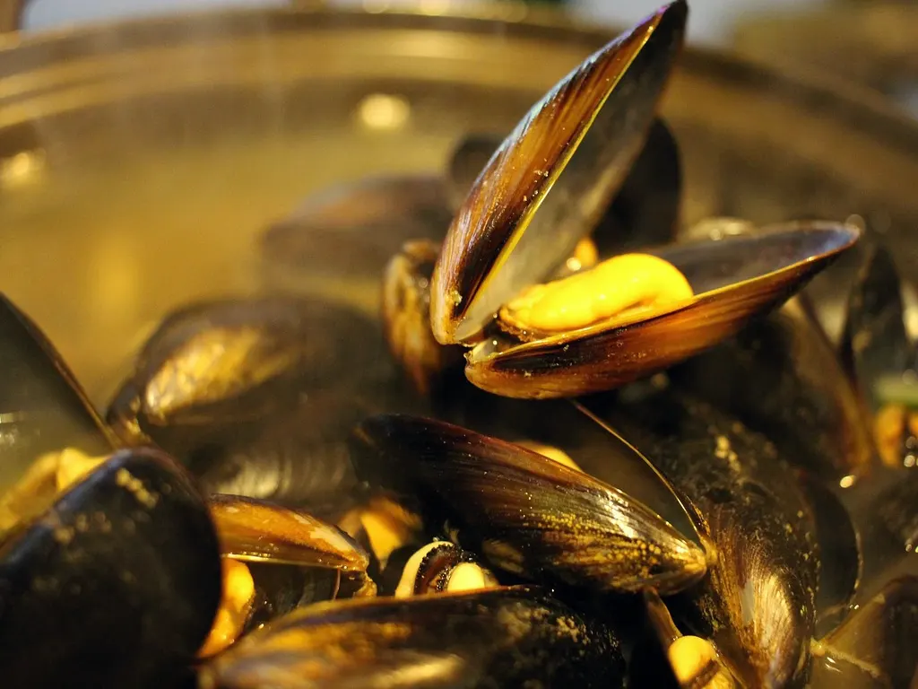 Red tide poisoning: Tahong downs 30 persons in Samar – Metro Sun Daily